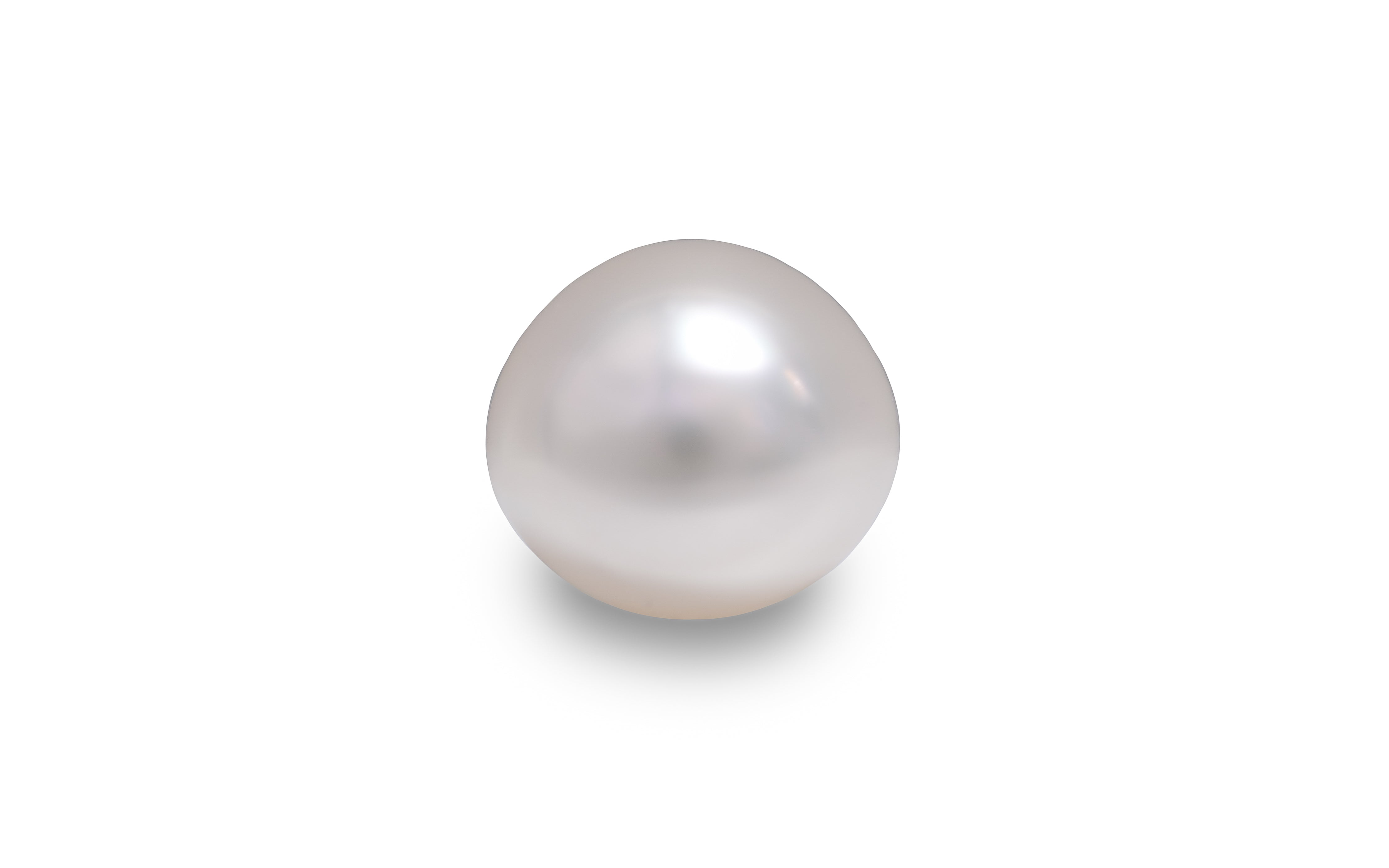 White South Sea Pearl | 15.5mm | Salt Wholesaling | Australia