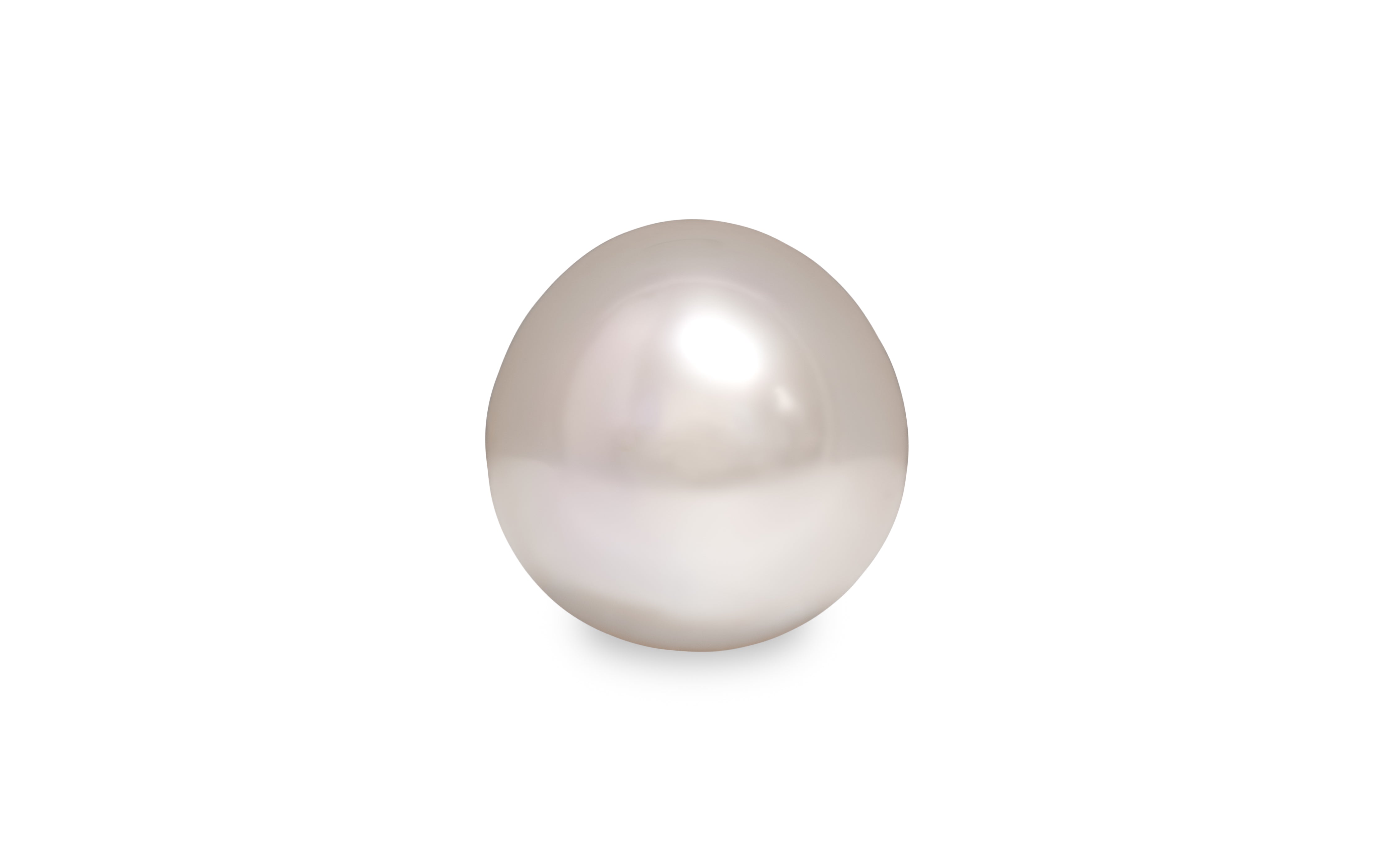 Fancy South Sea Pearl | 12.9mm | Salt Wholesaling | Australia